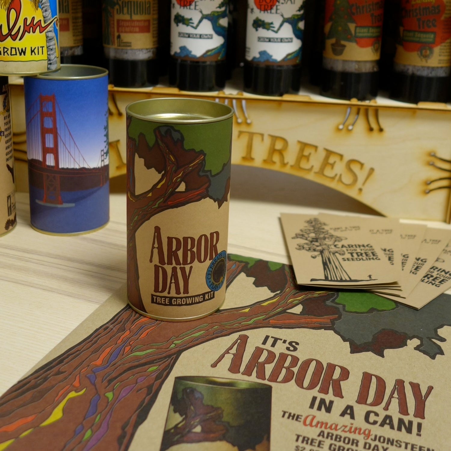 Giant Sequoia Seed Kit – Vybe Source Shop